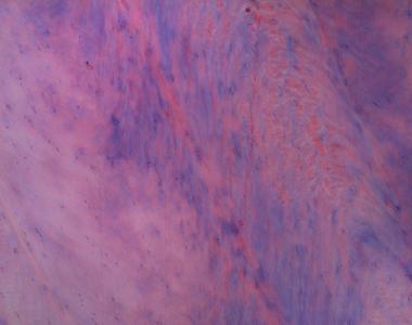 Praeparat Betrachter